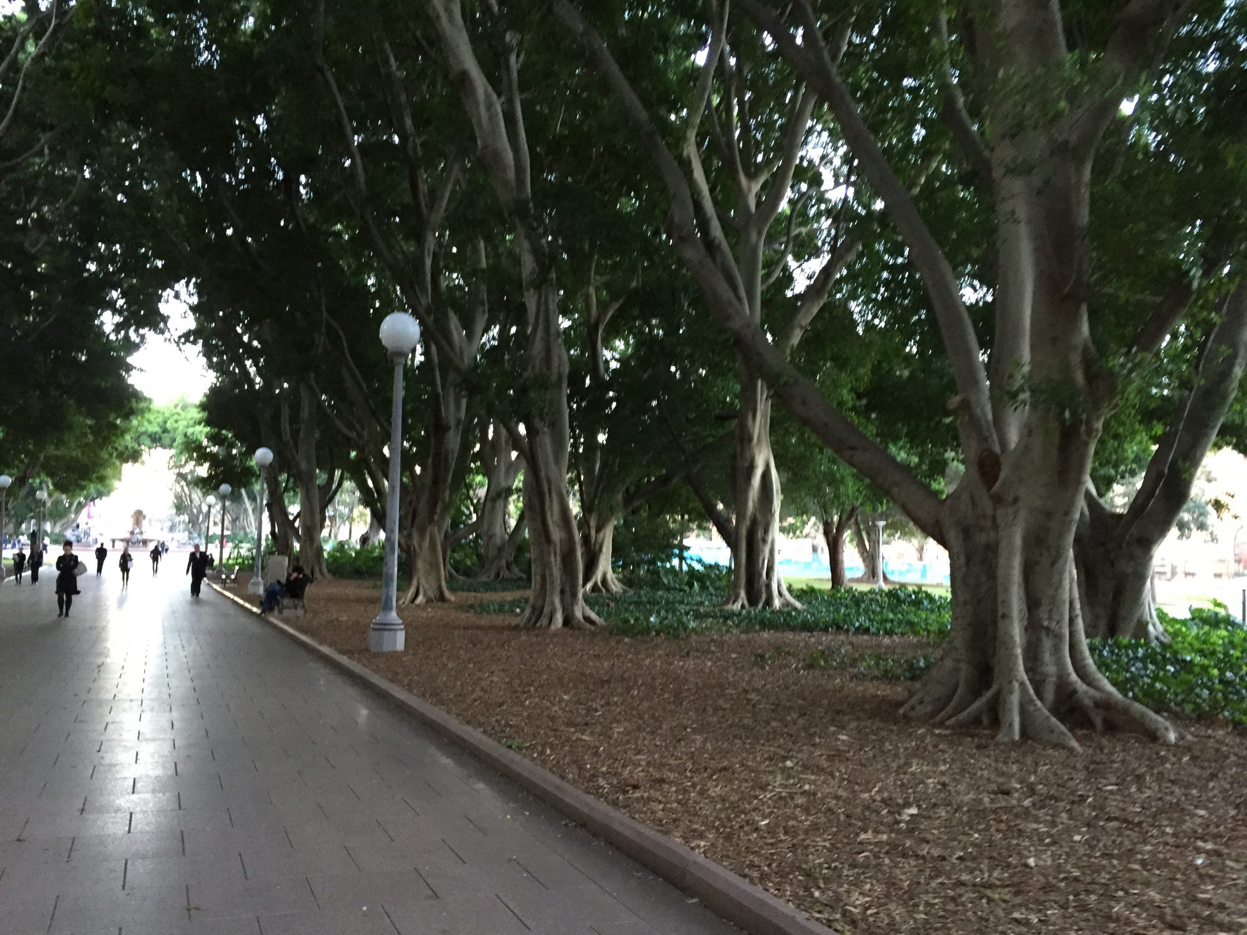 Home - David Steven Jacoby